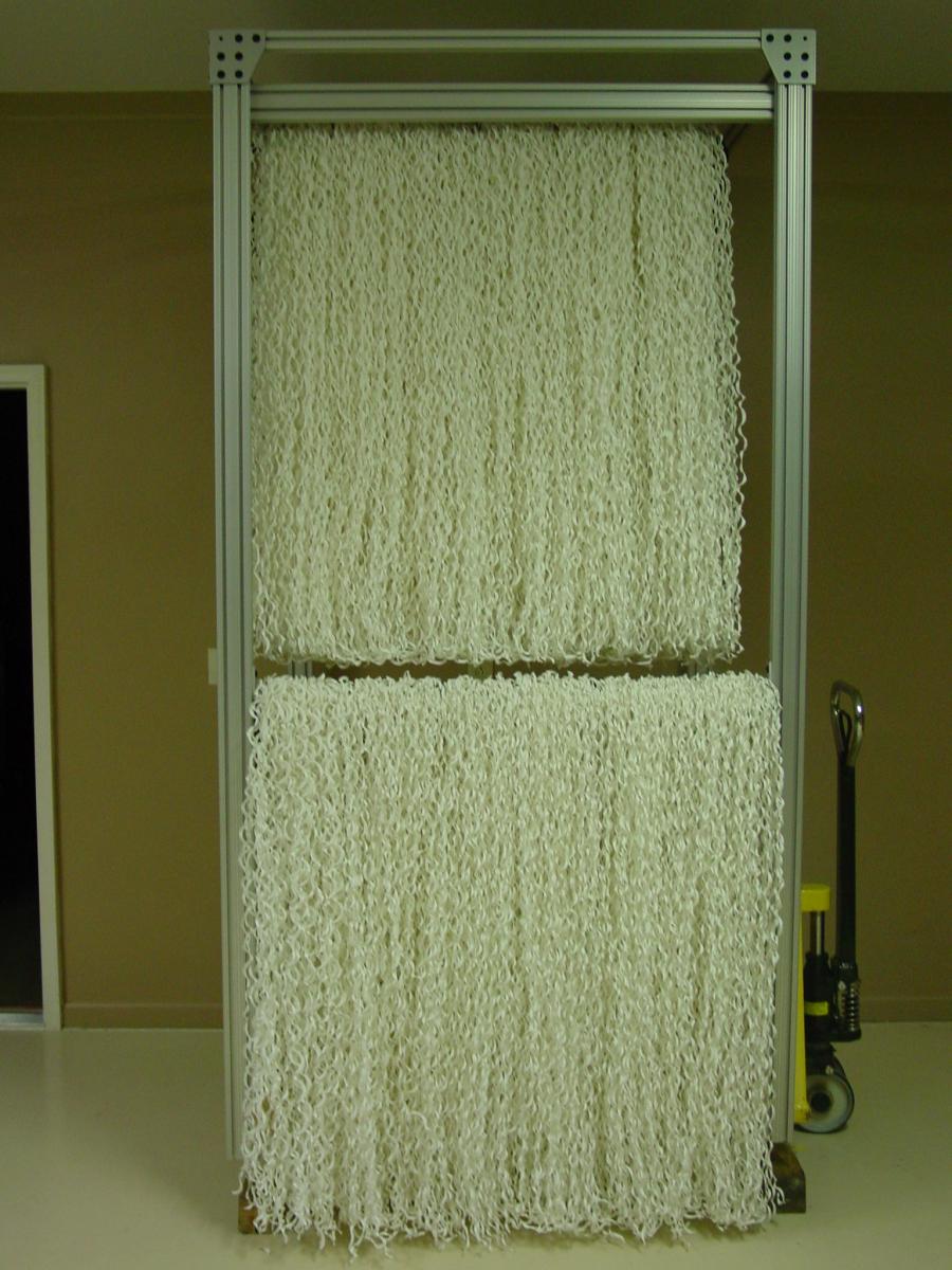 About – Bacti-Twist